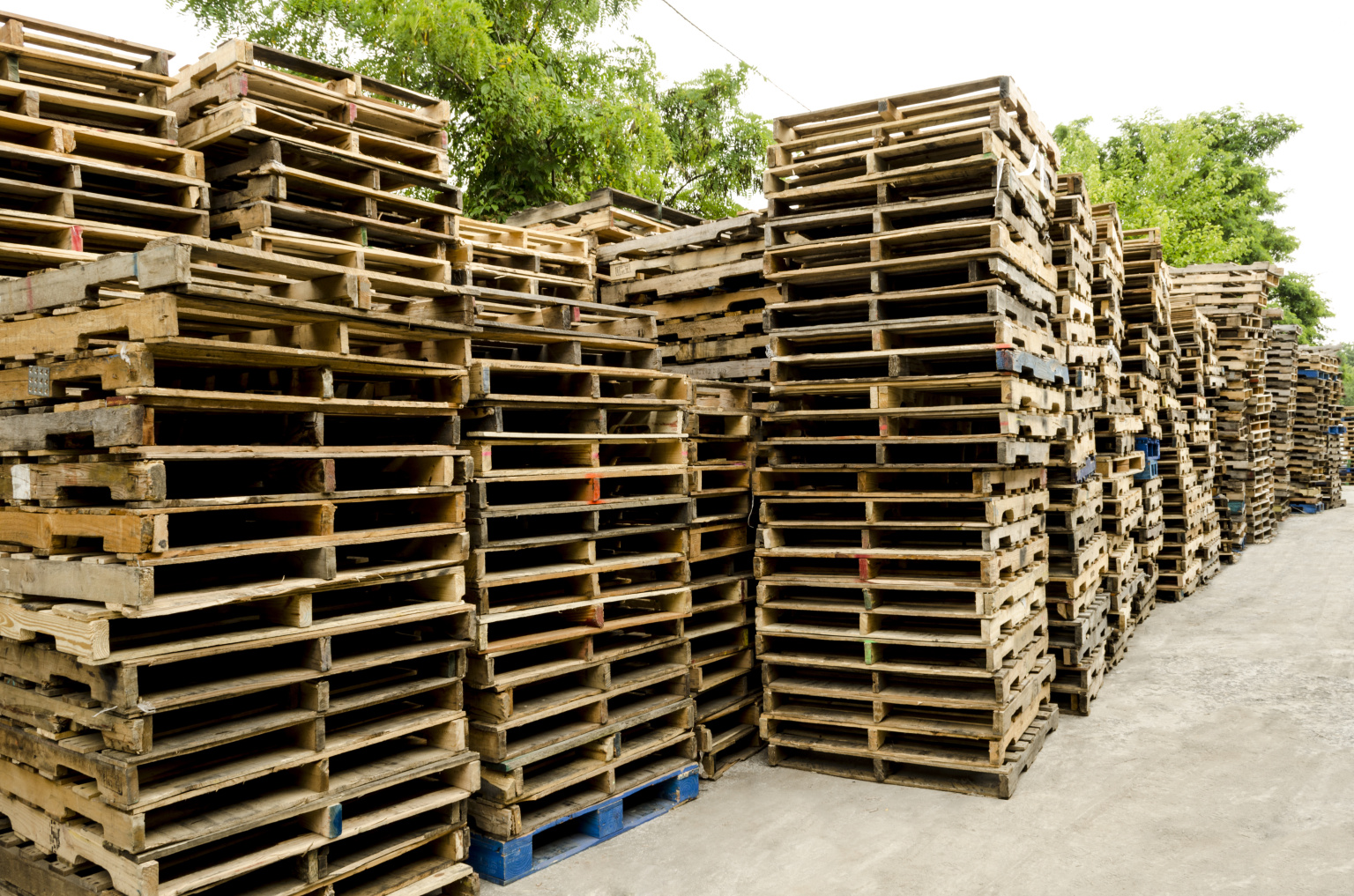 Beyond Shipping: The Life Cycle of Wooden Pallets and Recycling ...